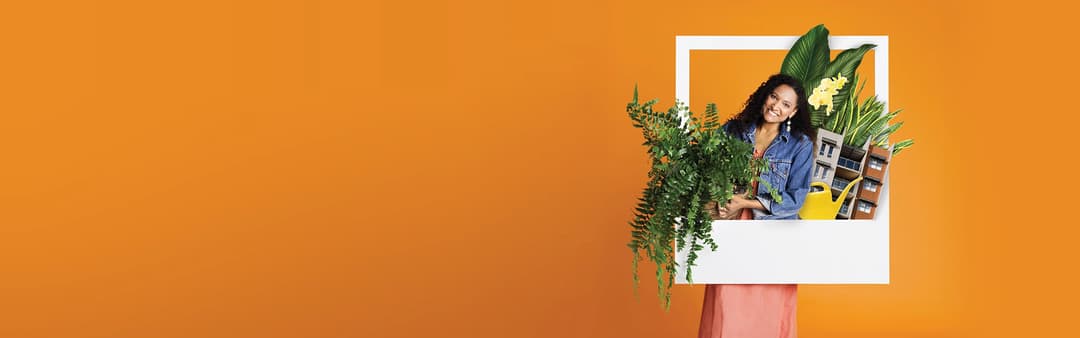 Credit Union SA | Home Page