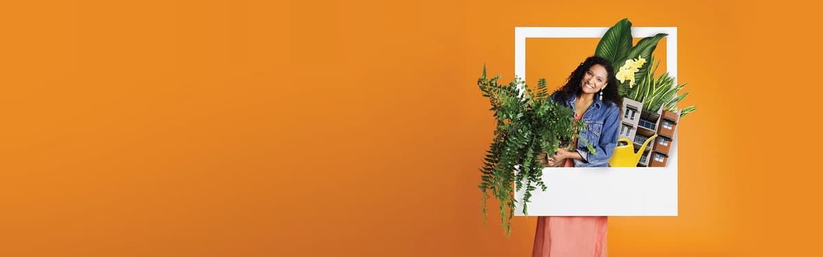 Credit Union SA | Home Page