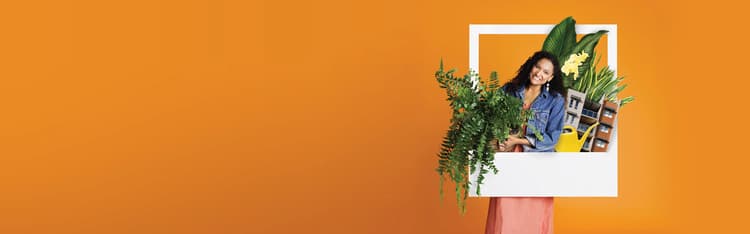 Credit Union SA | Home Page
